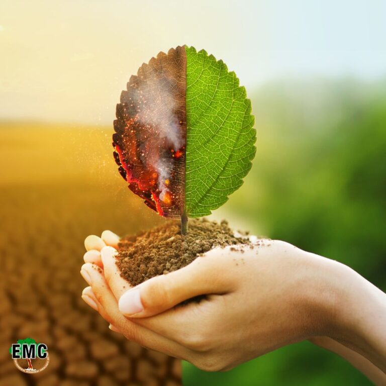 Home - Environmental Management Consultants Inc.